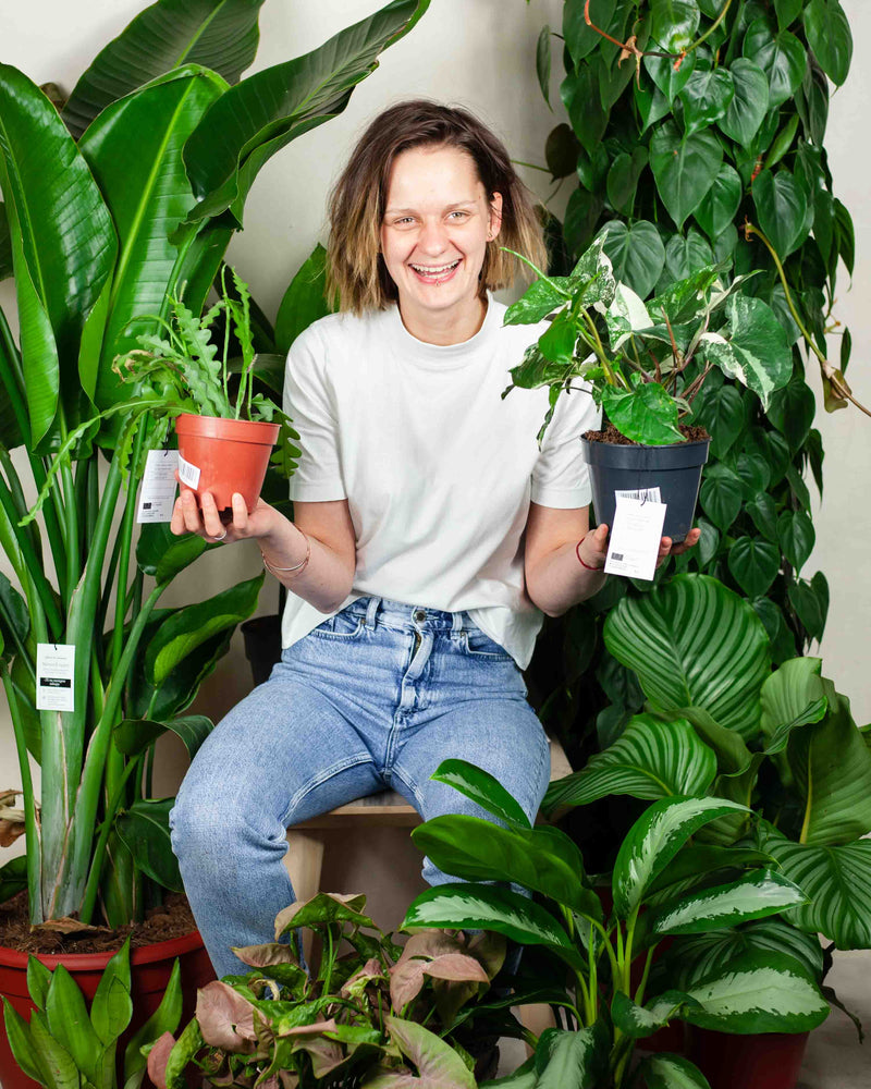 Sklep z roślinami | Plants For Humans